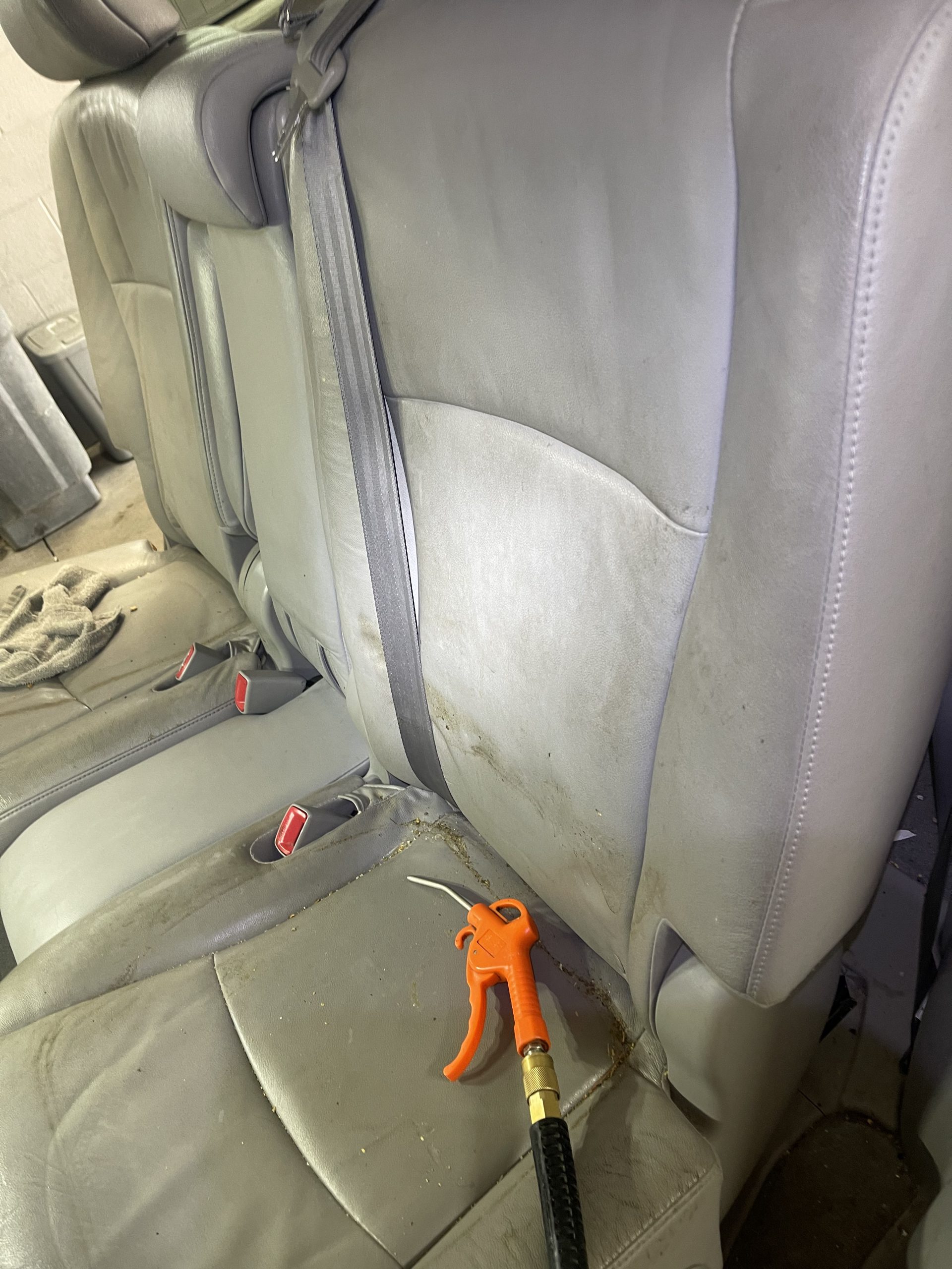 CAR DETAILING – Bug Eaters