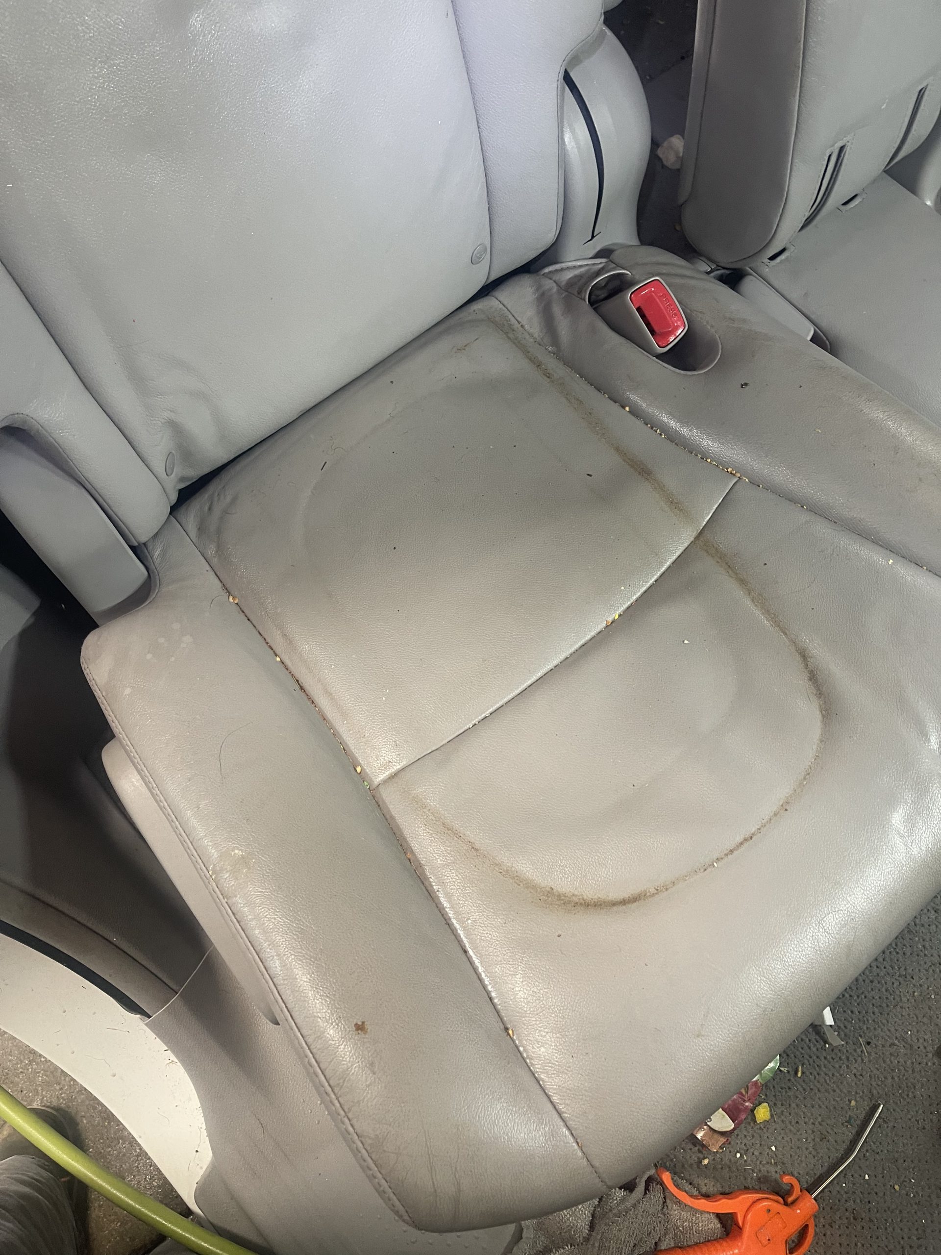 CAR DETAILING – Bug Eaters